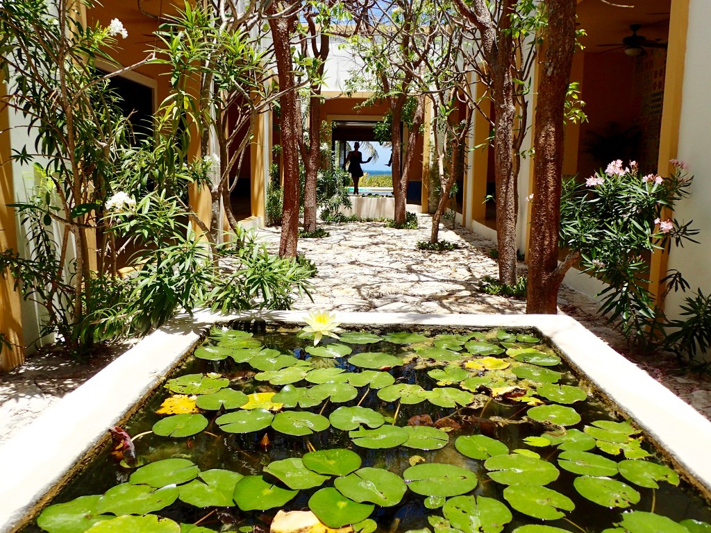 Mais où est Telchac Puerto… Tout près du paradis… Mérida (Mexique) 2018 ...